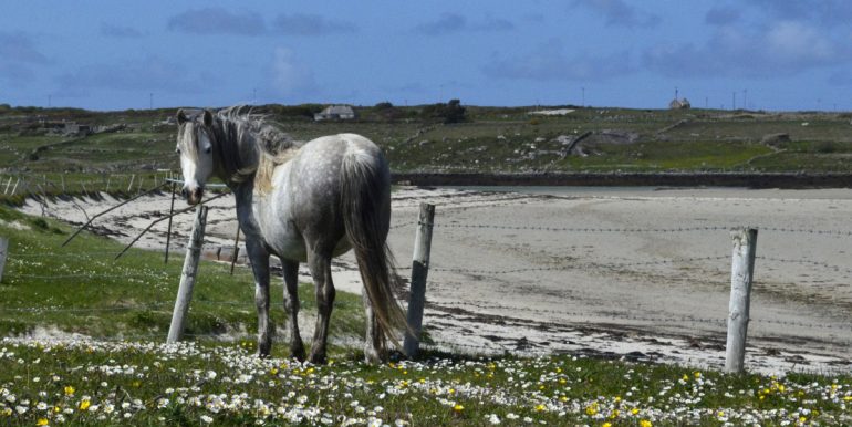 Cottage 118 - Cleggan | Love Connemara Cottages